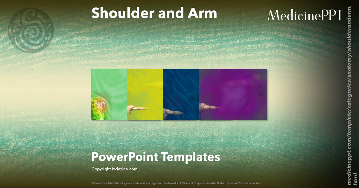 Shoulder and Arm - Medicine PowerPoint Templates