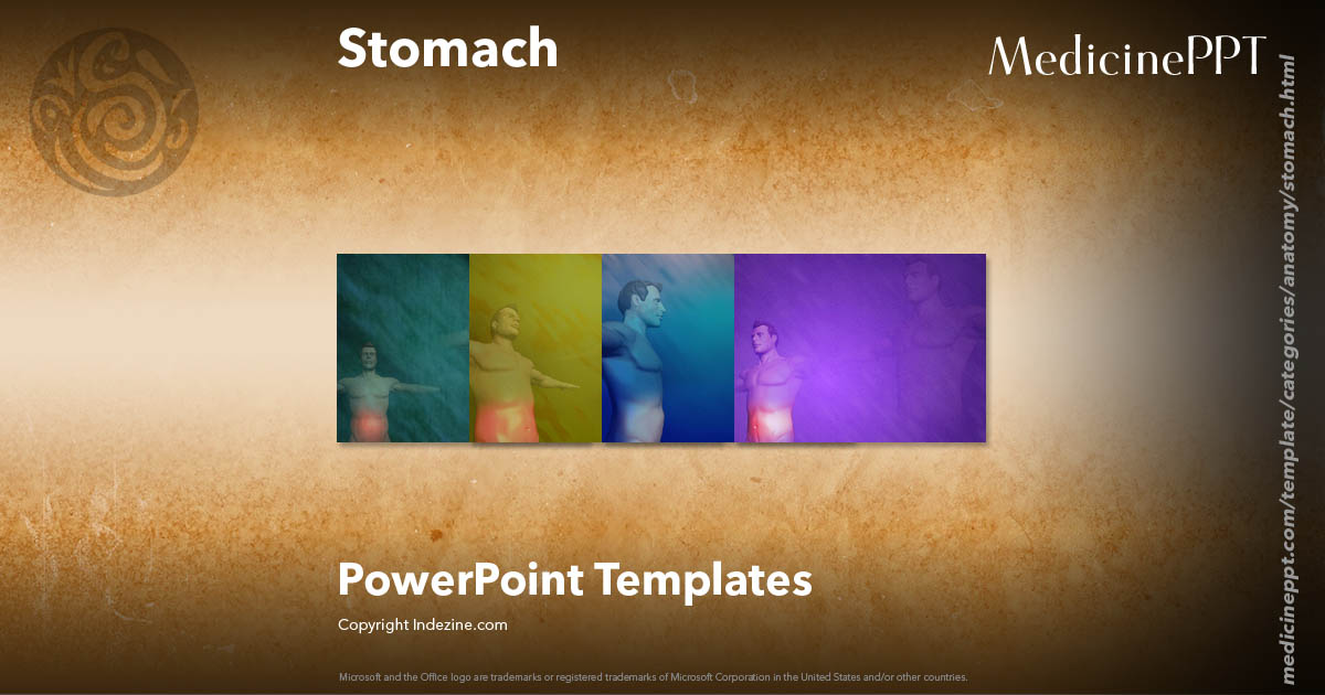 Stomach - Medicine PowerPoint Templates