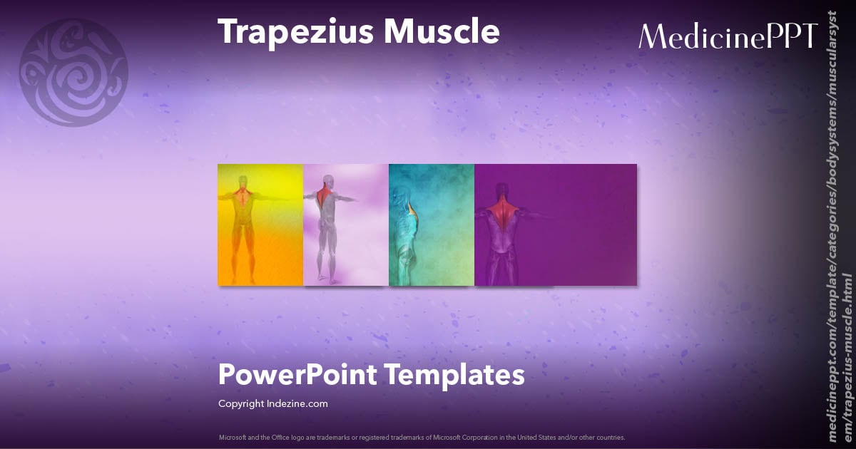 Trapezius Muscle - Medicine PowerPoint Templates