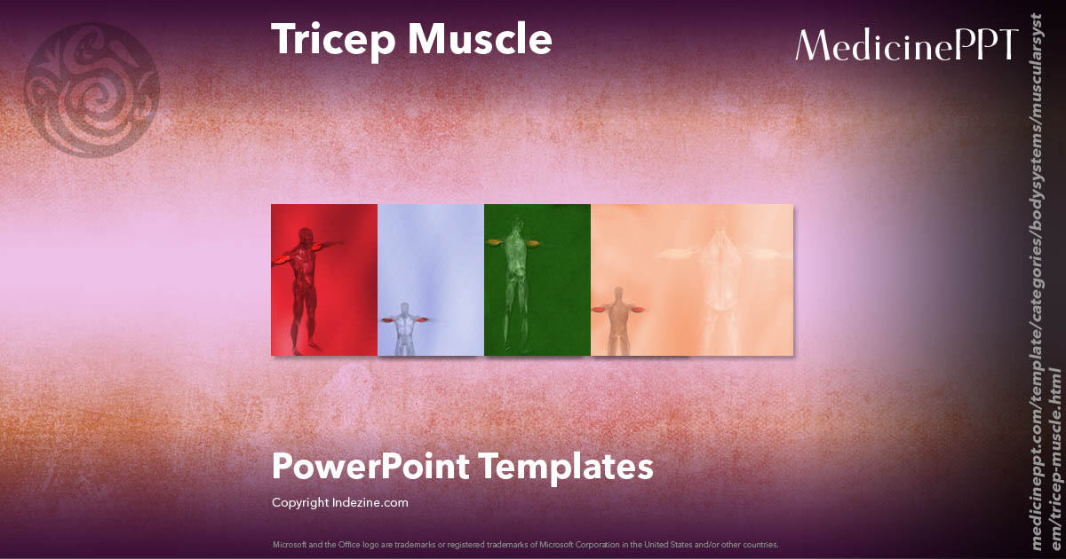 Tricep Muscle - Medicine PowerPoint Templates