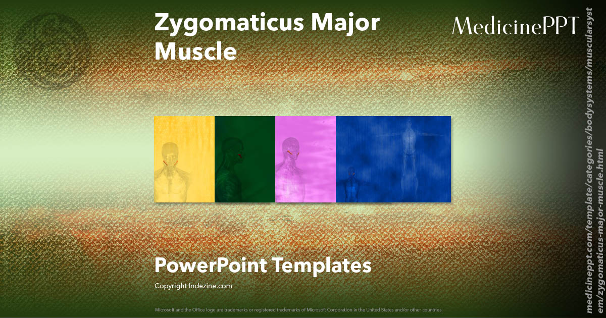 Muscle Exercise Zygomaticus Major Muscle Exercise