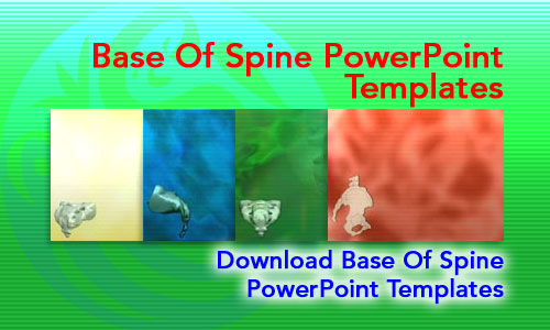 Base of Spine Medicine PowerPoint Templates