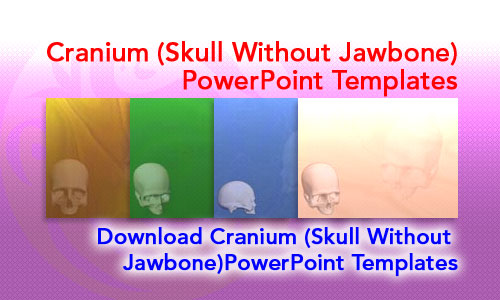 Cranium (Skull Without Jawbone) Medicine PowerPoint Templates