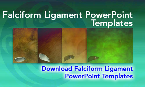 Falciform Ligament Medicine PowerPoint Templates