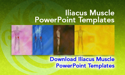 Iliacus Muscle Medicine PowerPoint Templates