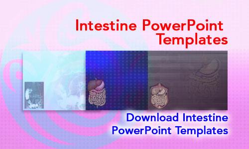 Intestine Medicine PowerPoint Templates
