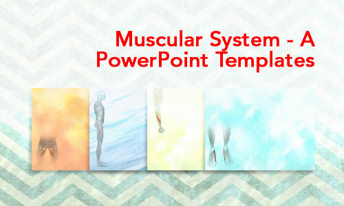 Muscular System - A Medicine PowerPoint Templates