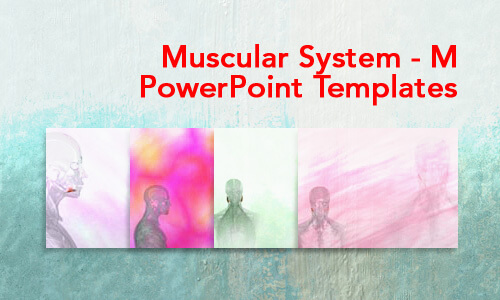 Muscular System - M Medicine PowerPoint Templates