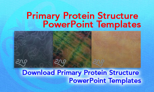 Ppt Protein Structure Primary Powerpoint Presentation