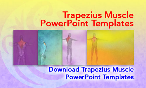 Trapezius Muscle Medicine PowerPoint Templates