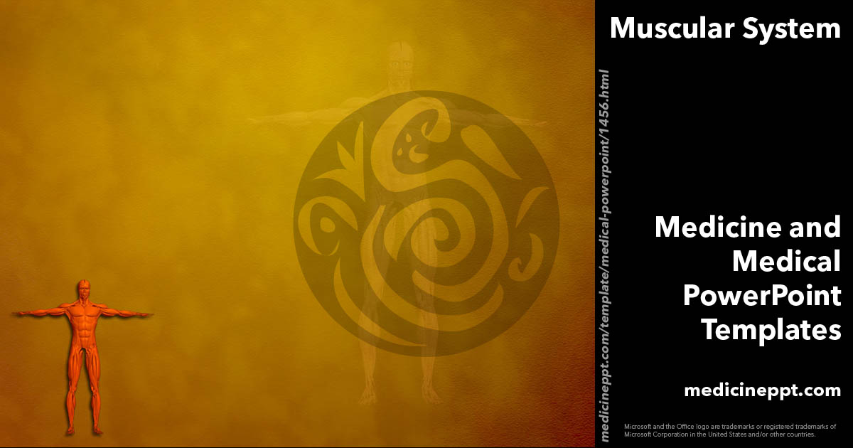Muscular System 01 - Medicine PowerPoint Templates