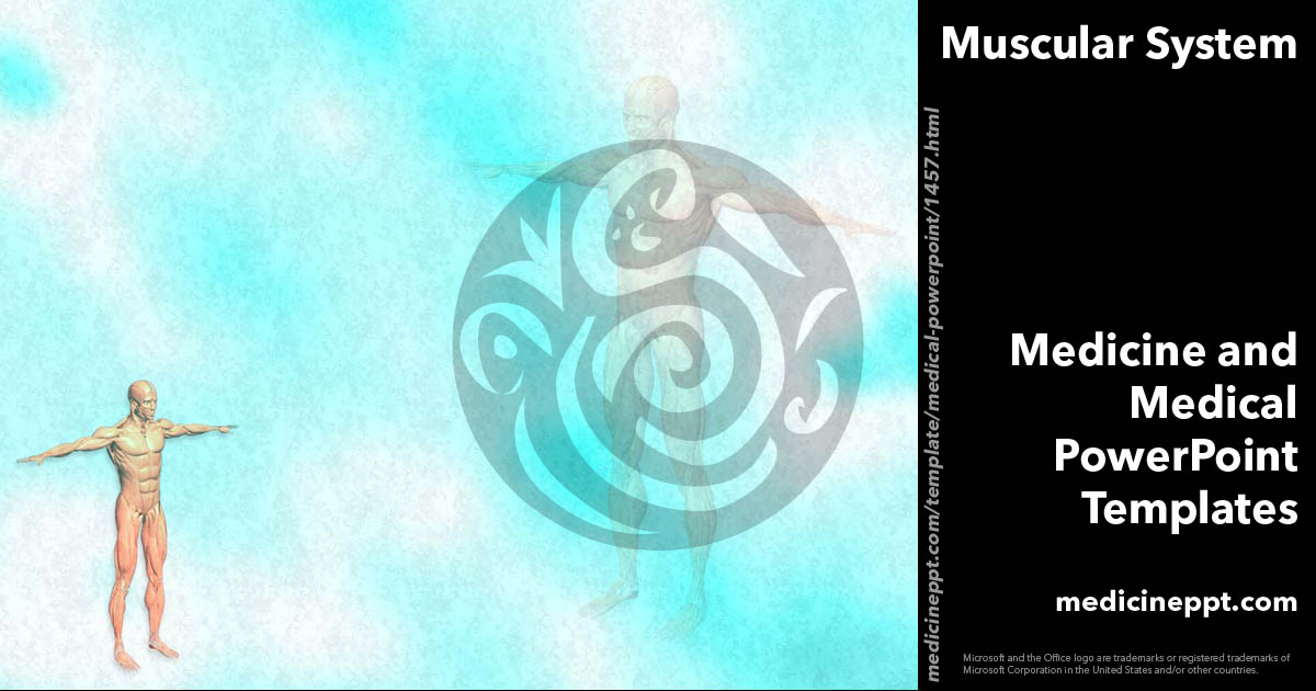 Muscular System 02 - Medicine PowerPoint Templates