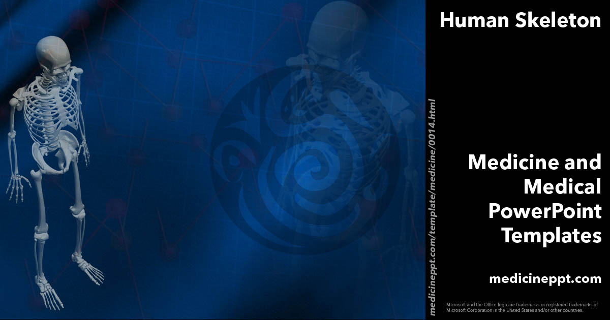 Human Skeleton 02 - Medicine PowerPoint Templates