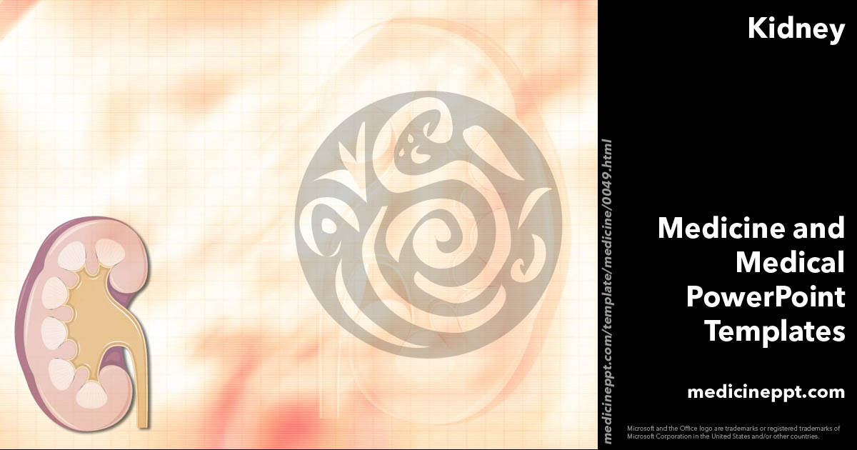Kidney 01 - Medicine PowerPoint Templates