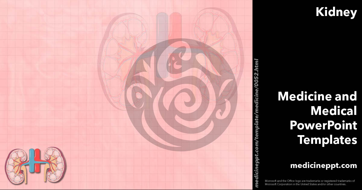 Kidney 03 - Medicine PowerPoint Templates