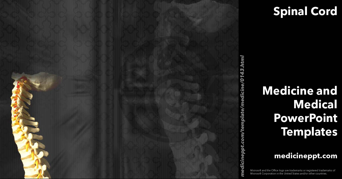 Spinal Cord 02 - Medicine PowerPoint Templates