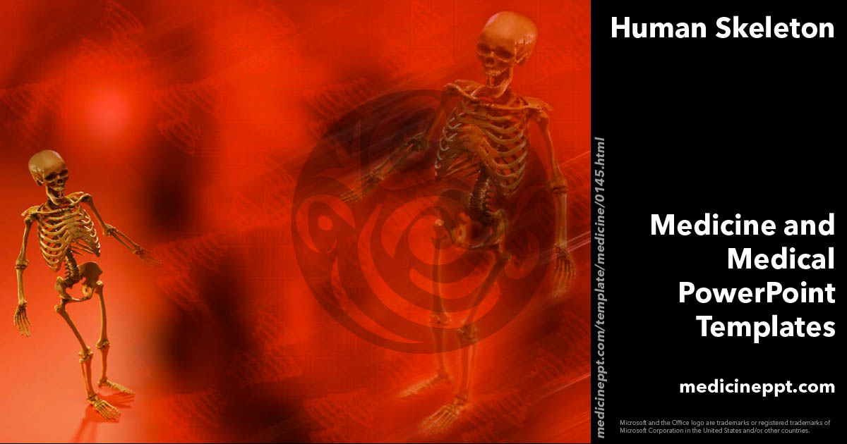 Human Skeleton 04 - Medicine PowerPoint Templates