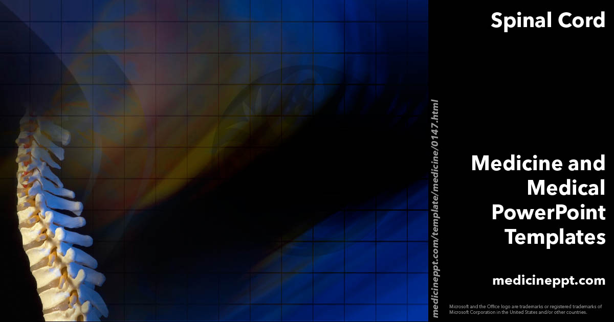 Spinal Cord 04 - Medicine PowerPoint Templates
