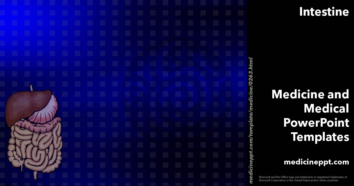 Intestine 02 - Medicine PowerPoint Templates