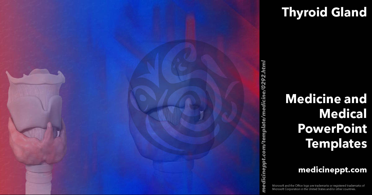 Thyroid Gland Anatomy Ppt