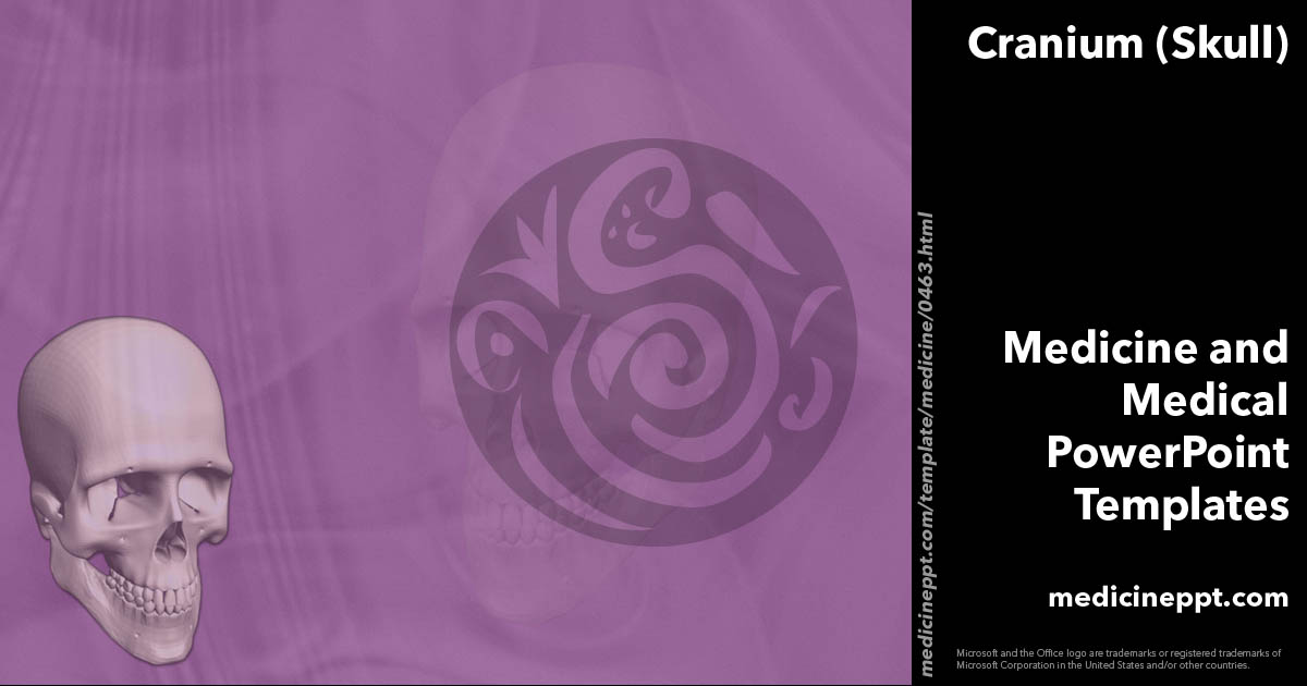Cranium (Skull) 03 - Medicine PowerPoint Templates