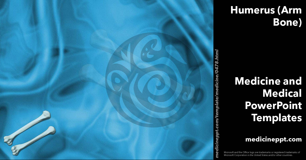 Humerus (Arm Bone) 02 - Medicine PowerPoint Templates