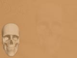 Cranium (Skull) 01 - Medicine PowerPoint Templates