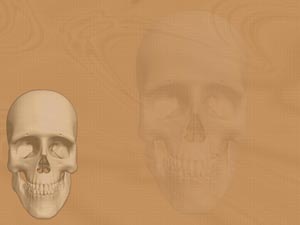 Cranium (Skull) 01 - Medicine PowerPoint Templates