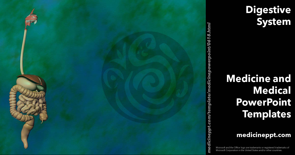 Digestive System 04 - Medicine PowerPoint Templates