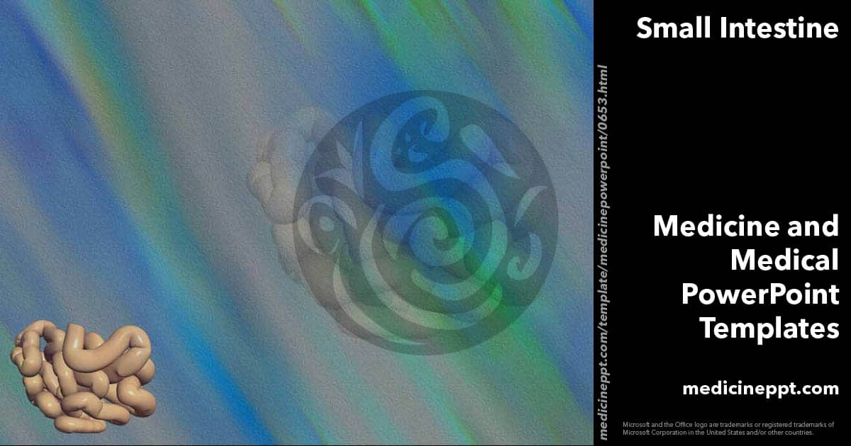 Small Intestine 02 - Medicine PowerPoint Templates