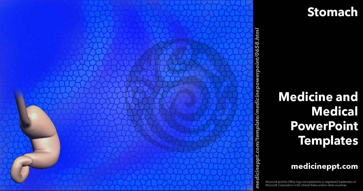 Stomach 03 - Medicine PowerPoint Templates