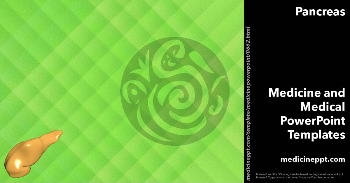 Pancreas 03 - Medicine PowerPoint Templates