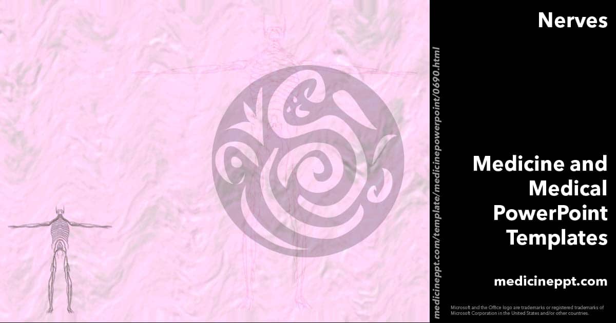 Nerves 05 - Medicine PowerPoint Templates