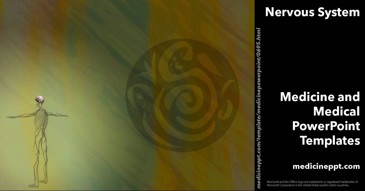 Nervous System 04 - Medicine PowerPoint Templates