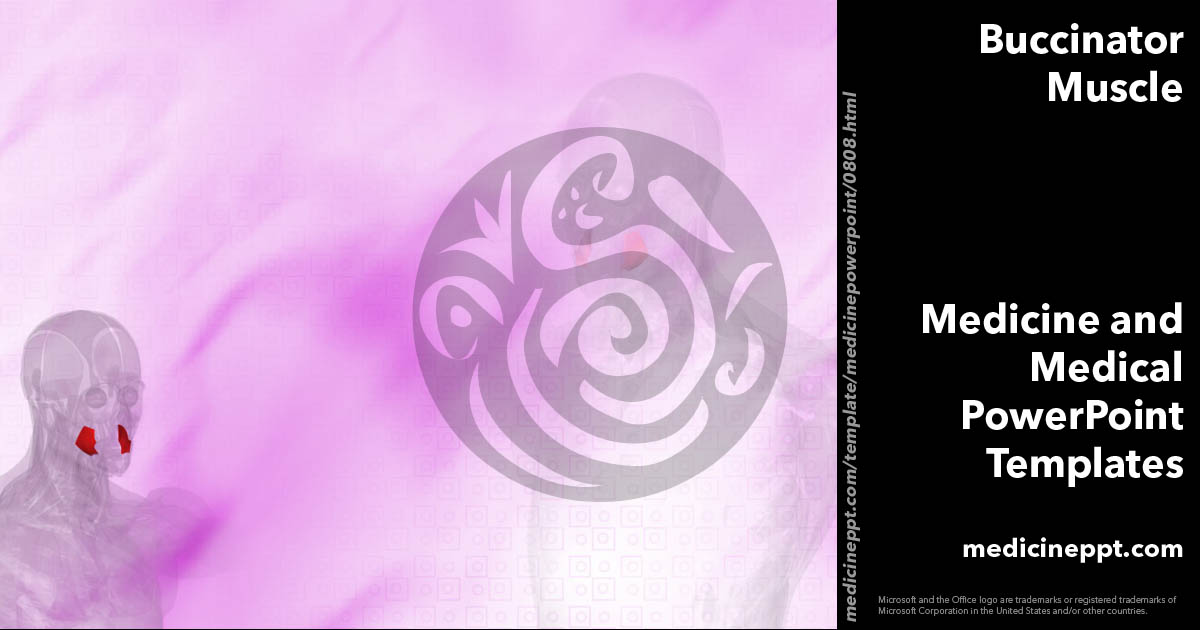 Buccinator Muscle 01 - Medicine PowerPoint Templates
