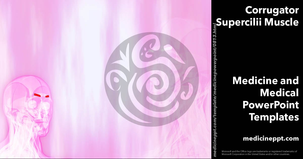 Corrugator Supercilii Muscle 02 - Medicine PowerPoint Templates