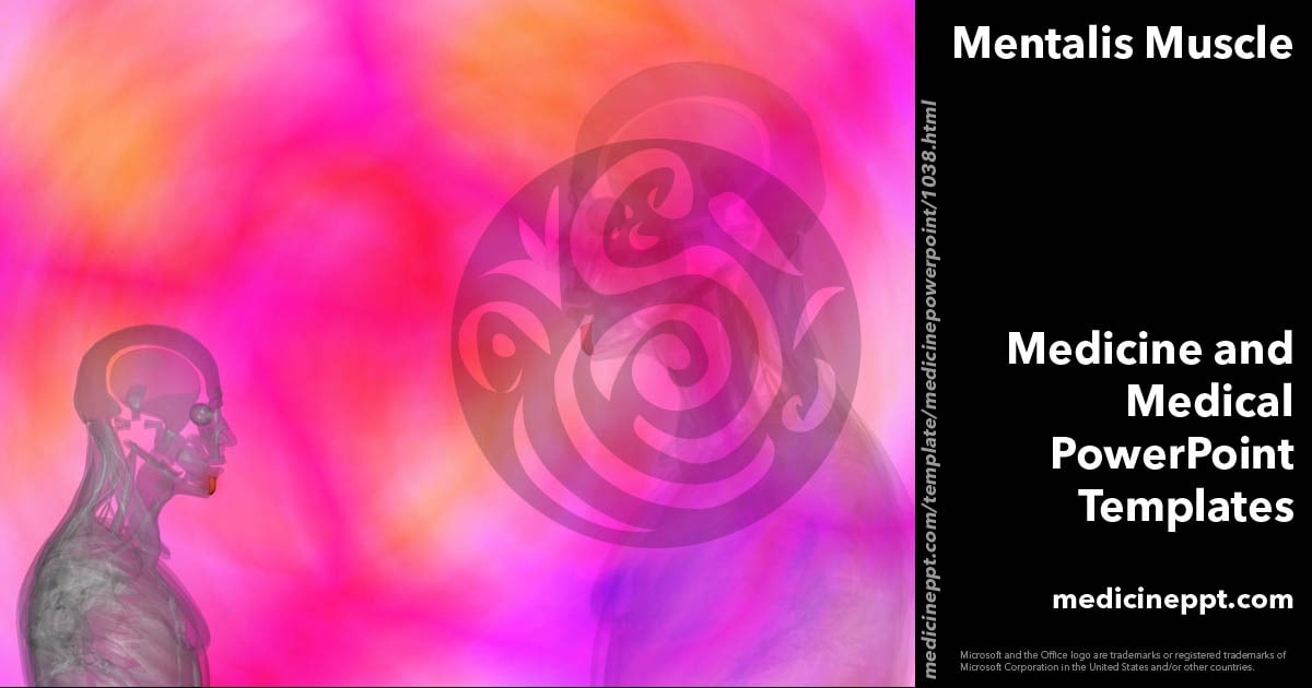 Mentalis Muscle 03 - Medicine PowerPoint Templates